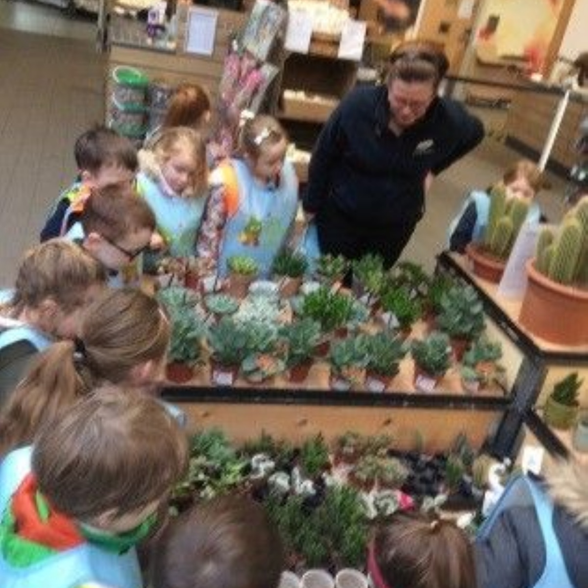 Walpole Cross Keys Primary School - Dobbies Garden Centre